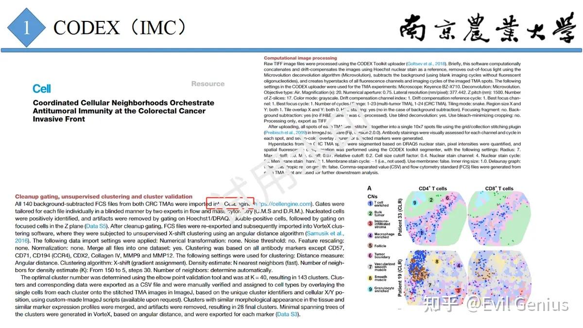 第26课PPT--CODEX（IMC、mIHC）基础分析梳理 - 知乎