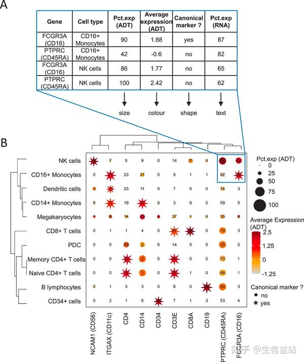 Seurat::Dotplot 美化—单细胞绘图美化工具推荐（三） - 知乎