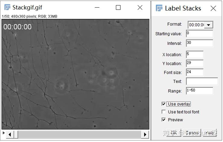 ImageJ实用技巧——图像标注(基本功能篇) - 知乎