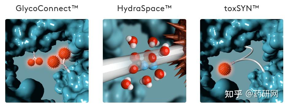 21.5亿美元！Synaffix两天达成两项ADC合作，获“最佳ADC平台技术”奖 - 知乎