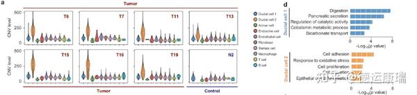 CNV score辅助肿瘤恶性细胞鉴定-附代码 - 知乎