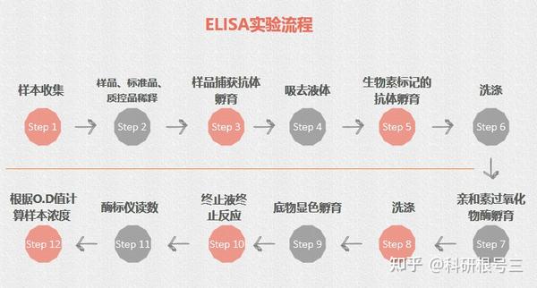 定性、定量、定位，WB、ELISA、IHC 三大免疫学实验，这一篇全搞定！ - 知乎