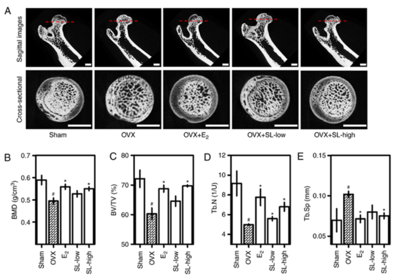 药效纵向研究新利器？Micro-CT影像技术在药物临床前小鼠药效模型上的应用 - 知乎