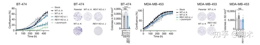 【Nature】癌症机制新突破：APOBEC3与内源性癌症突变 - 知乎