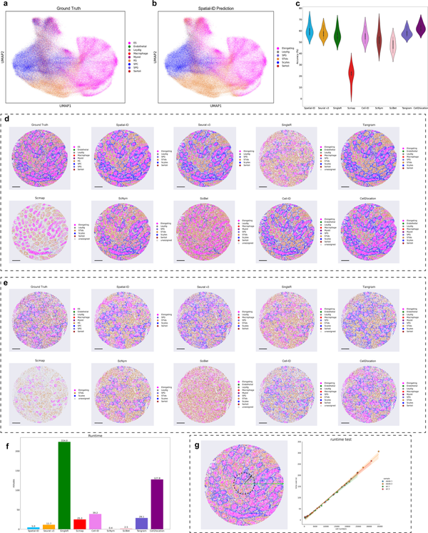 Nat Commun | Spatial-ID：通过迁移学习和空间嵌入进行空间高分辨转录组数据的细胞注释 - 知乎