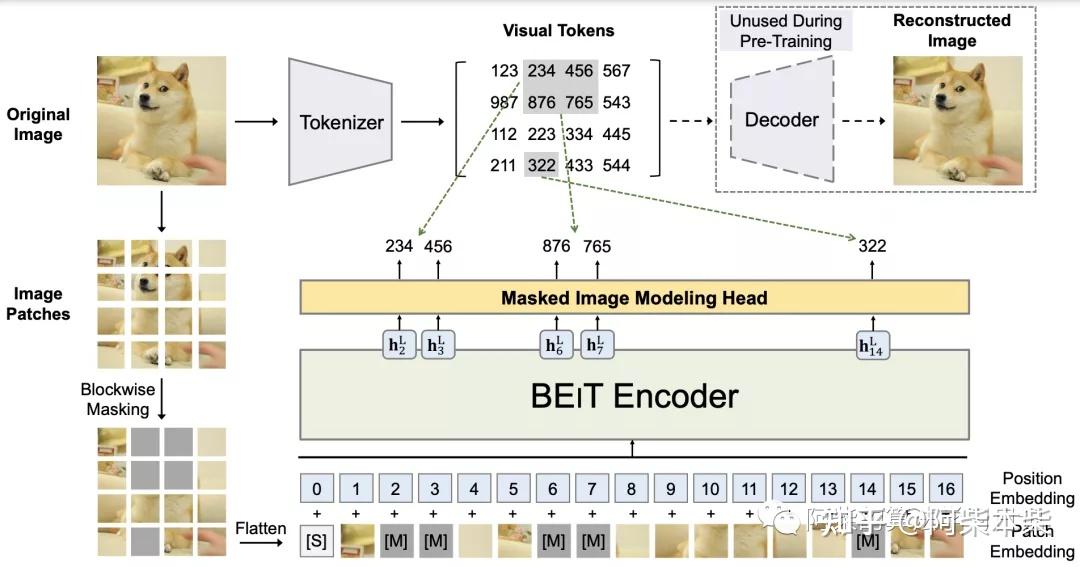 中科大&微软亚研院提出PeCo：效果超过MAE、BEiT、SimMIM的CV预训练模型 - 知乎