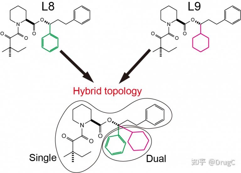 自由能微扰（free energy perturbation, FEP）的构建 - 知乎