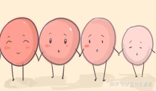 想要养出 美丽大方”的好卵子，怎样才能养出质量好的卵泡？ 知乎