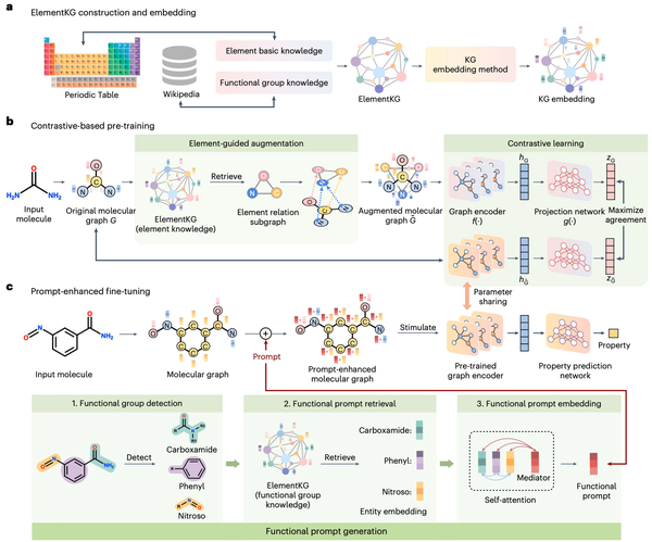Nature Machine Intelligence 2023 | “化学元素知识+功能提示”双驱动，探索分子预测新方法 - 知乎