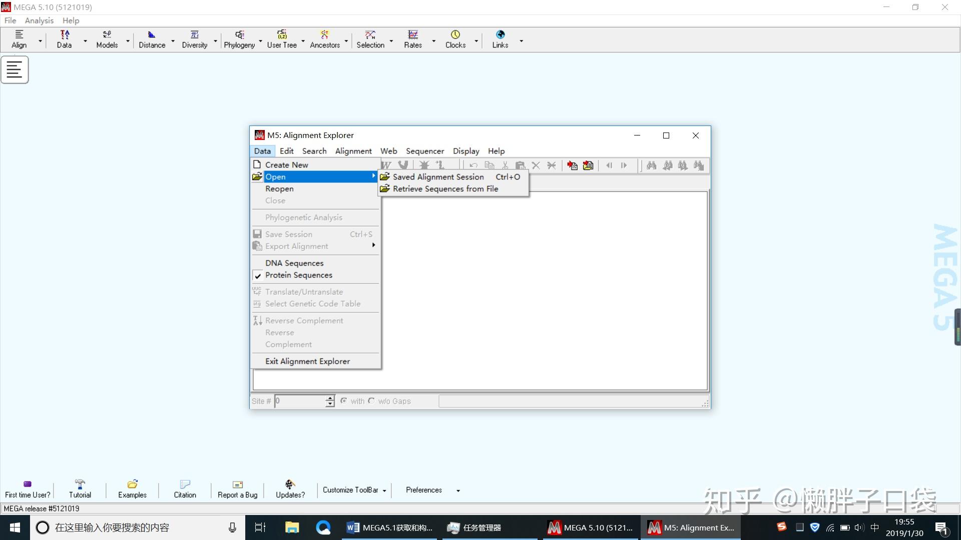 MEGA5.1获取和构建系统发育树 - 知乎