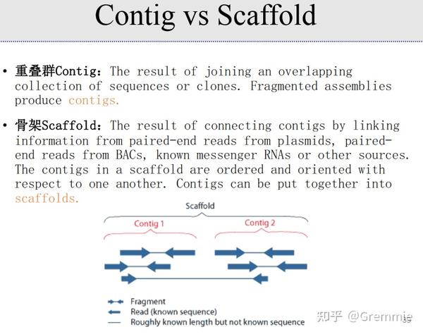 基因组装的概念/算法(OLC,K-mer)详解 - 知乎