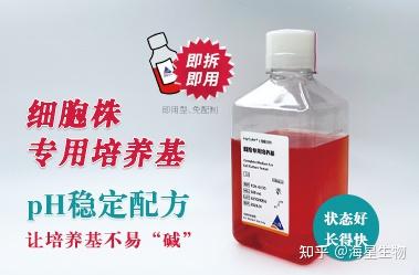 SW480人结肠腺癌细胞的培养与应用 - 知乎