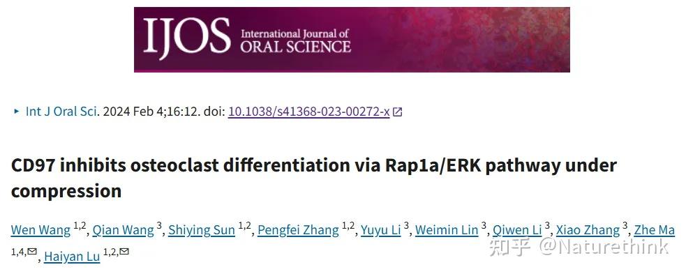 CD97 在压缩下通过 Rap1a/ERK 通路抑制破骨细胞分化 - 知乎