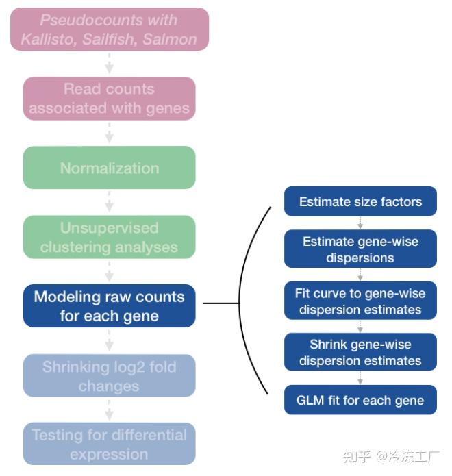 RNA-seq 详细教程：详解DESeq2流程（9） - 知乎