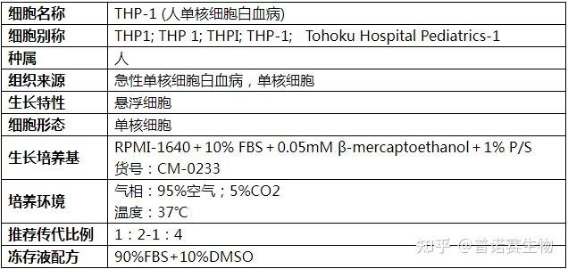 细胞学堂|THP-1细胞培养攻略， THP-1细胞培养的常见问题与解决方法 - 知乎