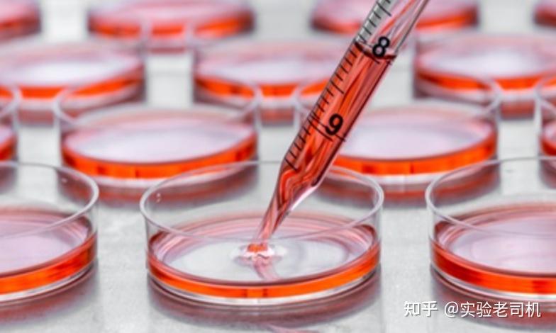 DMEM、1640、MEM...这么多培养基有什么不同？ - 知乎