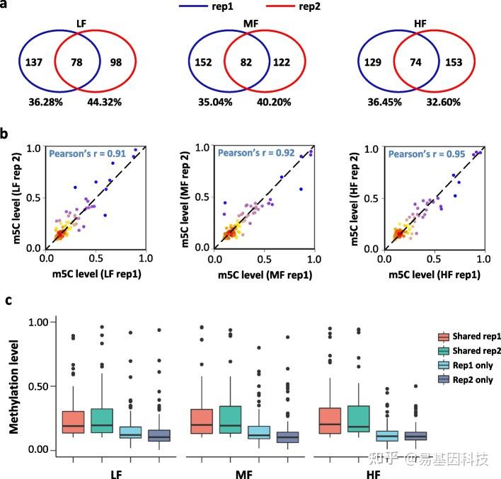 易基因：RNA-BS揭示叶酸调控神经干细胞m5C修饰和mRNA翻译机制｜科研速递 - 知乎