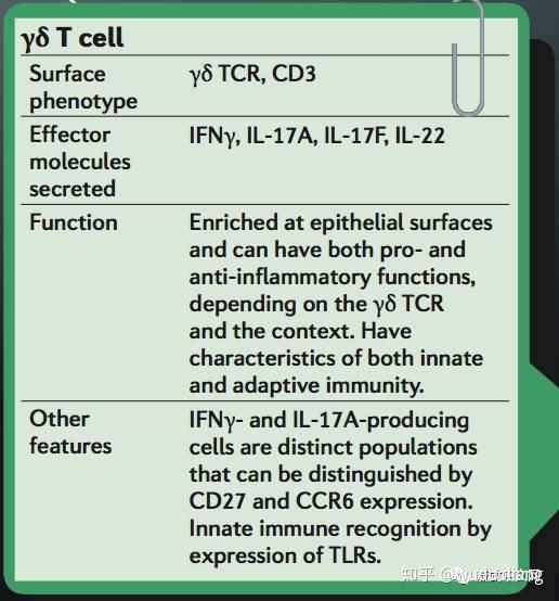 一文读懂T细胞都有那些分类 - 知乎