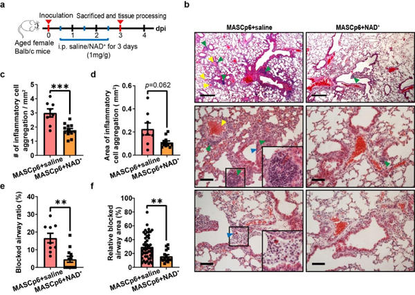 Cell Discov︱许执恒/秦成峰/胡泽平 团队合作发现NAD+可用于治疗新冠肺炎 - 知乎