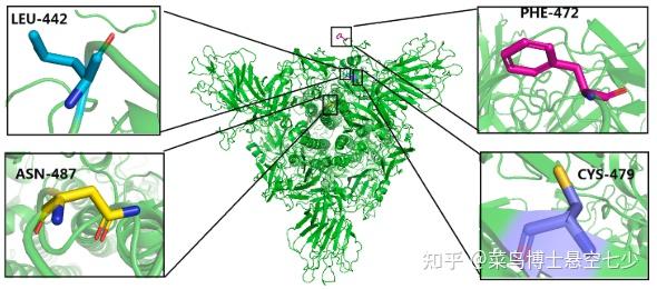 分子模拟||Pymol开源版安装步骤及教程 - 知乎