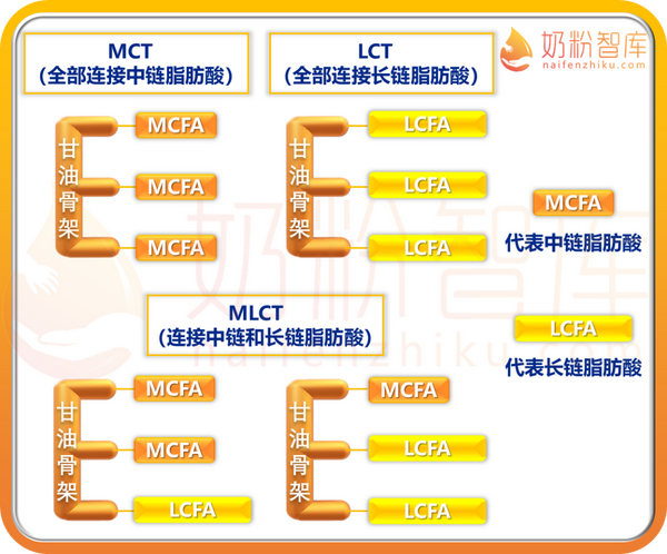 新突破！MLCT——新国标婴配粉配料表中首次亮相的新成员！ - 知乎