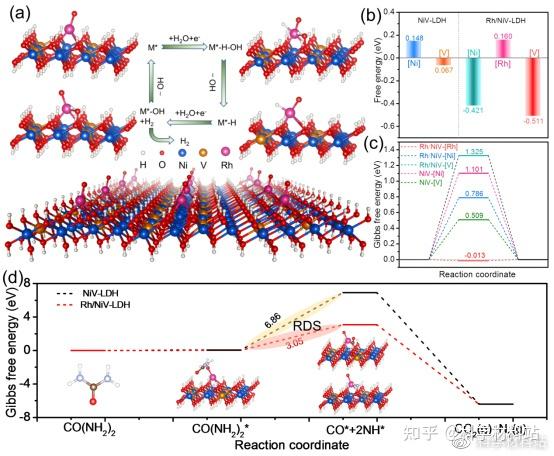 王春栋副教授/熊宇杰教授合作Science Bulletin：层状双氢氧化物上的单原子活性中心调控实现高效尿素电解 - 知乎