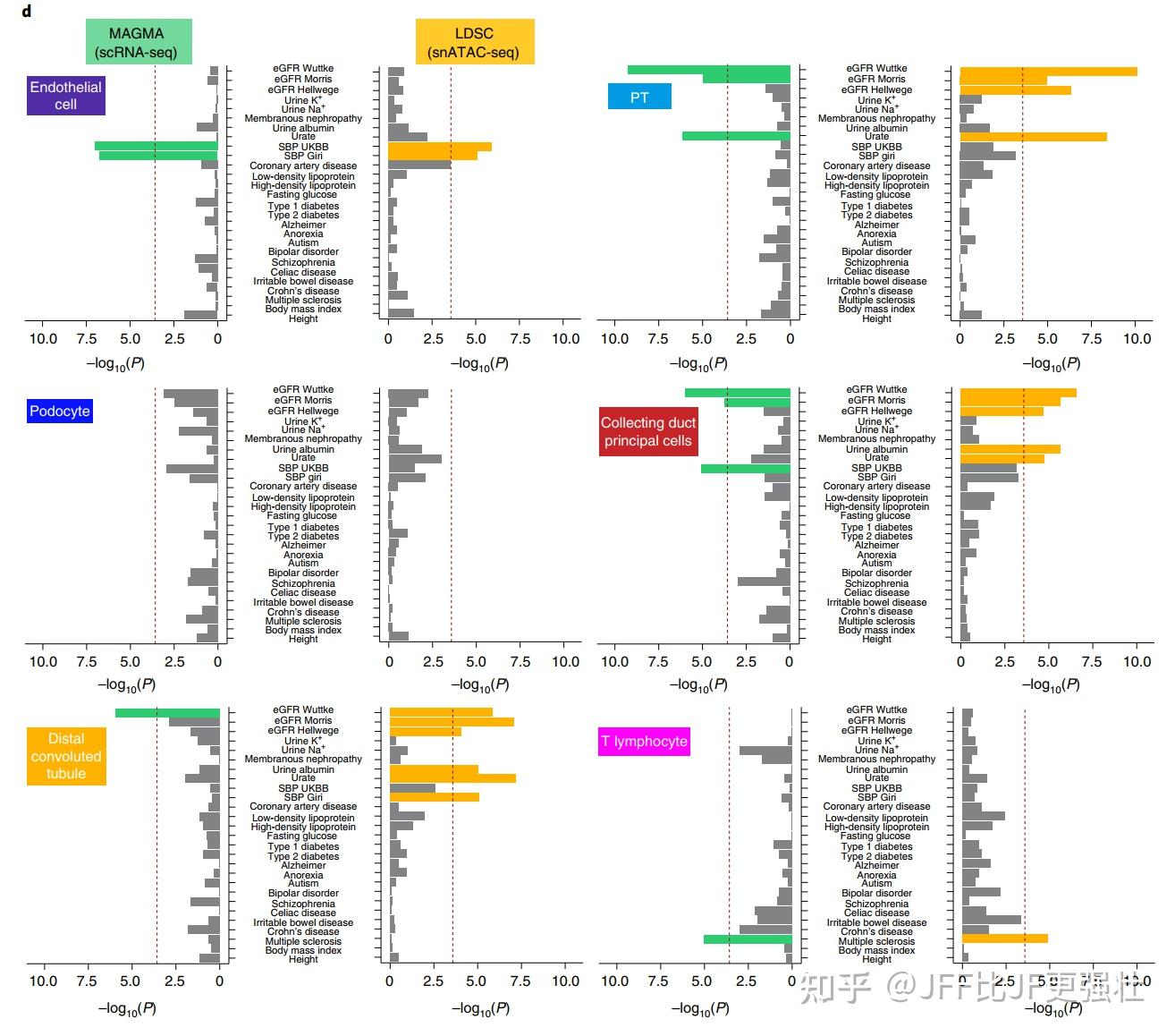 肾脏cell-type-interaction eQTL - 知乎