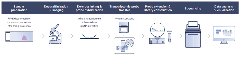 突破FFPE限制，进入单细胞+空间组学研究新时代 - 知乎