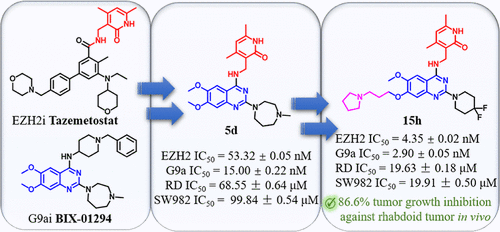 发现对恶性横纹肌样瘤具有体内功效的双赖氨酸甲基转移酶 G9a 和 EZH2 抑制剂 - 知乎