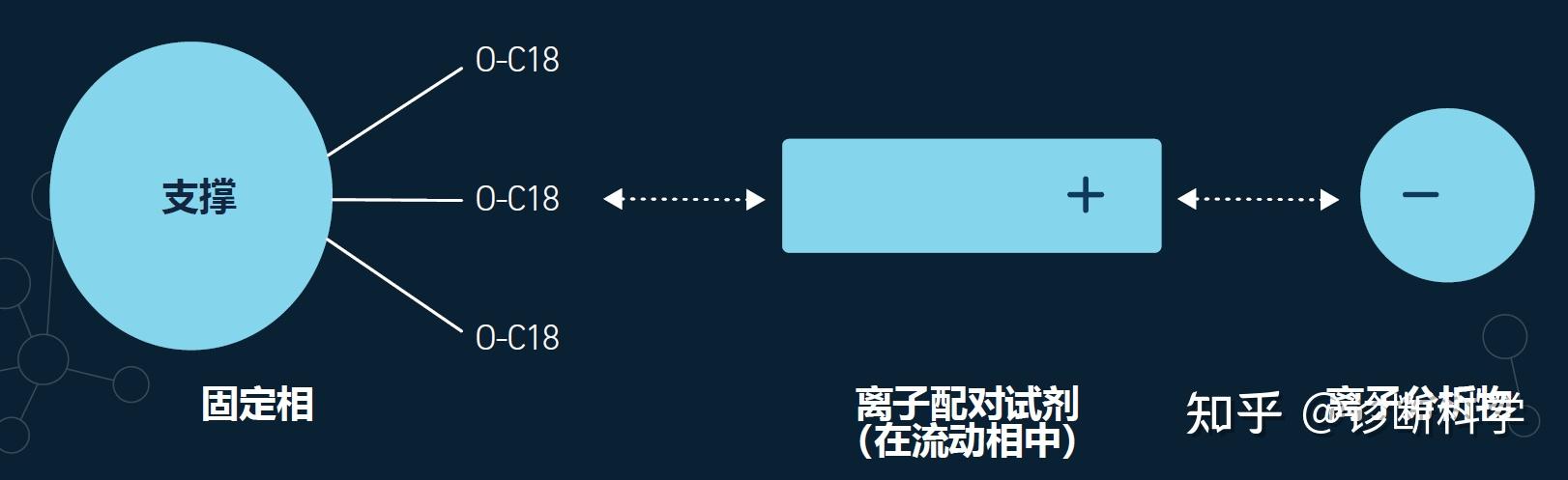 技术 | 一文了解离子色谱法 - 知乎