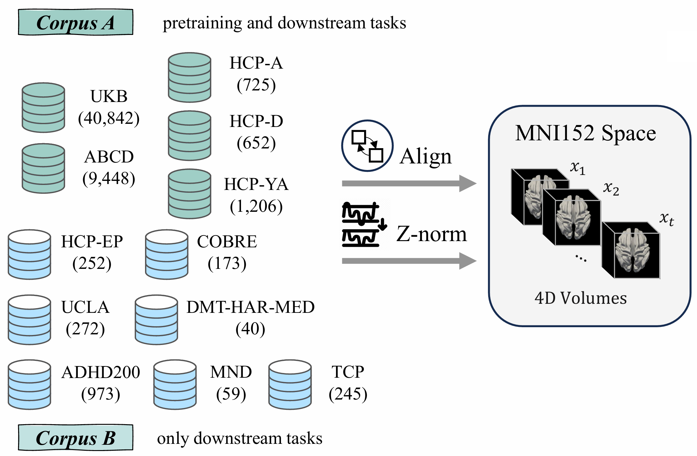 Nature Biomedical Engineering: 一个通用的 4D fMRI 分析基础模型 - 知乎