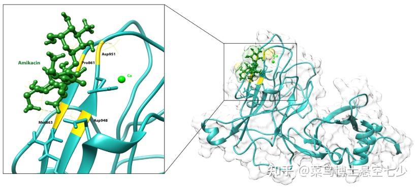 分子模拟||Pymol开源版安装步骤及教程 - 知乎