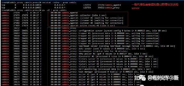 保姆级的教你一步一步安装部署Zabbix - 知乎
