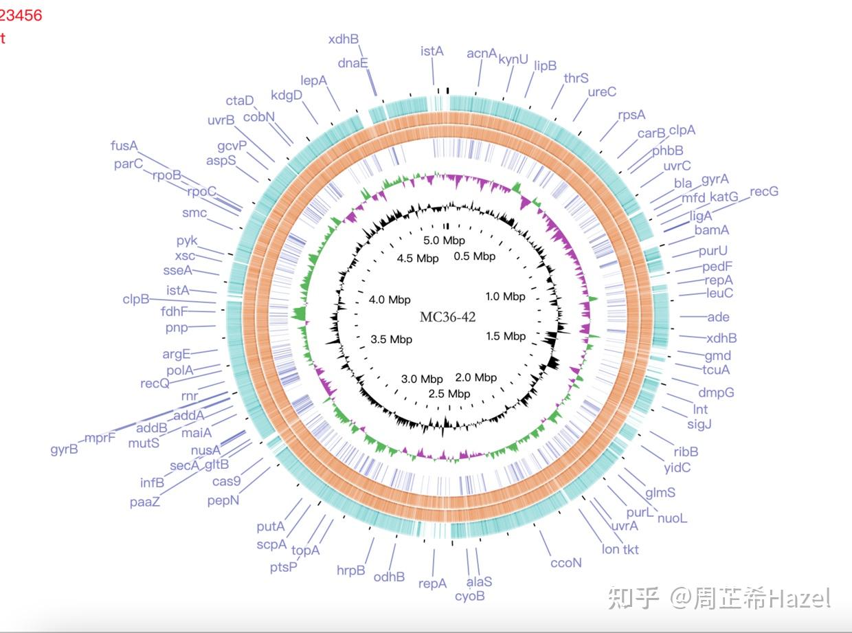 生信log22|CGviewer升级啦-交互式操作画基因组Circos圈图（使用和评价） - 知乎