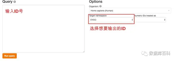 Gene ID 转换工具 - 知乎