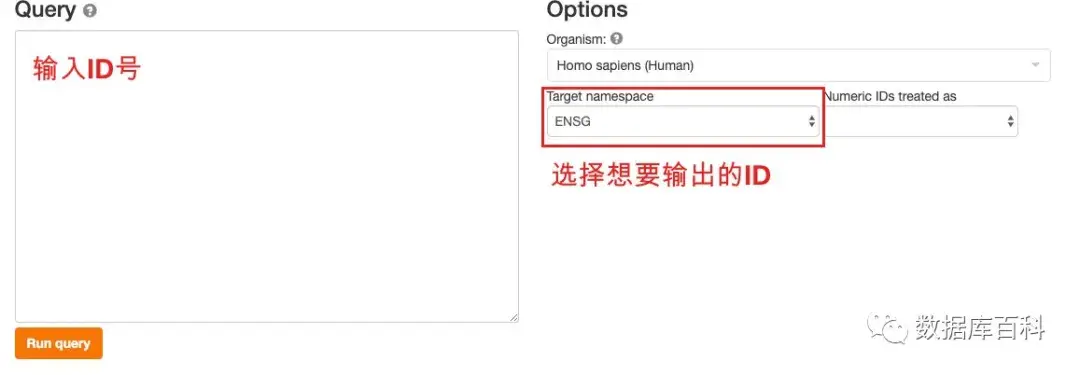 Gene ID 转换工具 - 知乎