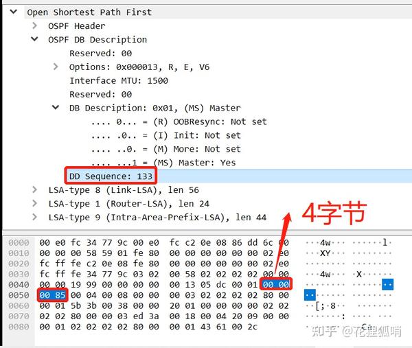 OSPFv3报文格式 - 知乎