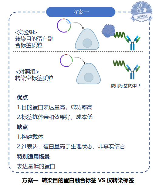 一站式IP打造|原来它才是CoIP成功率高的原因 - 知乎