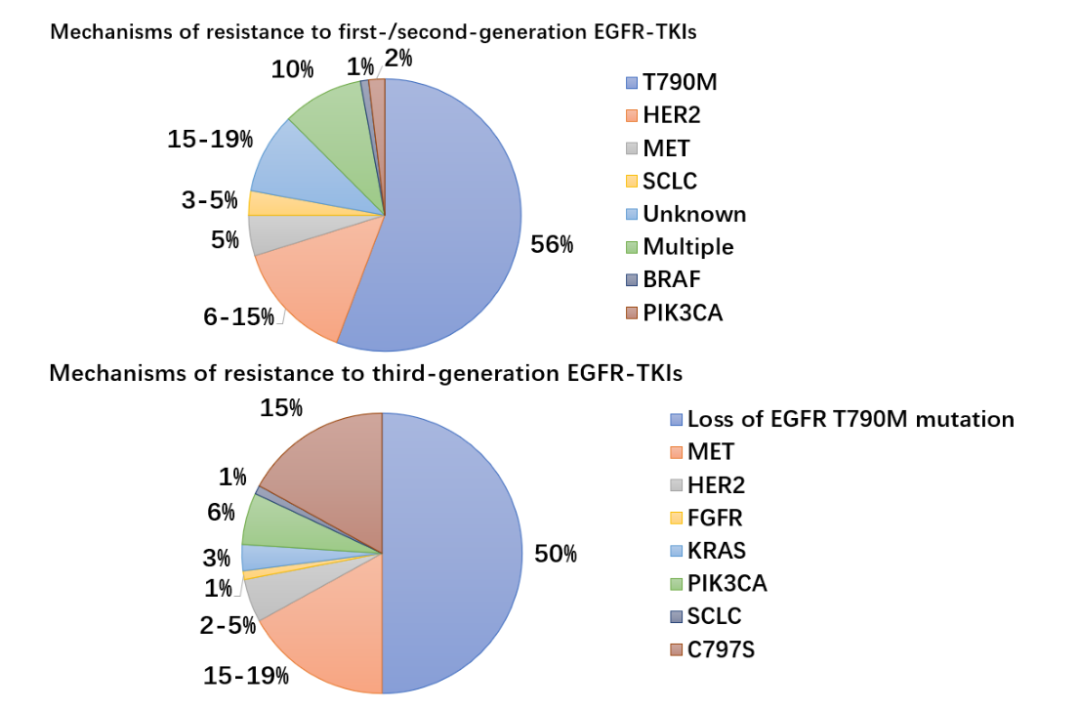 NSCLC四大类靶向药物的分子耐药机制 - 知乎