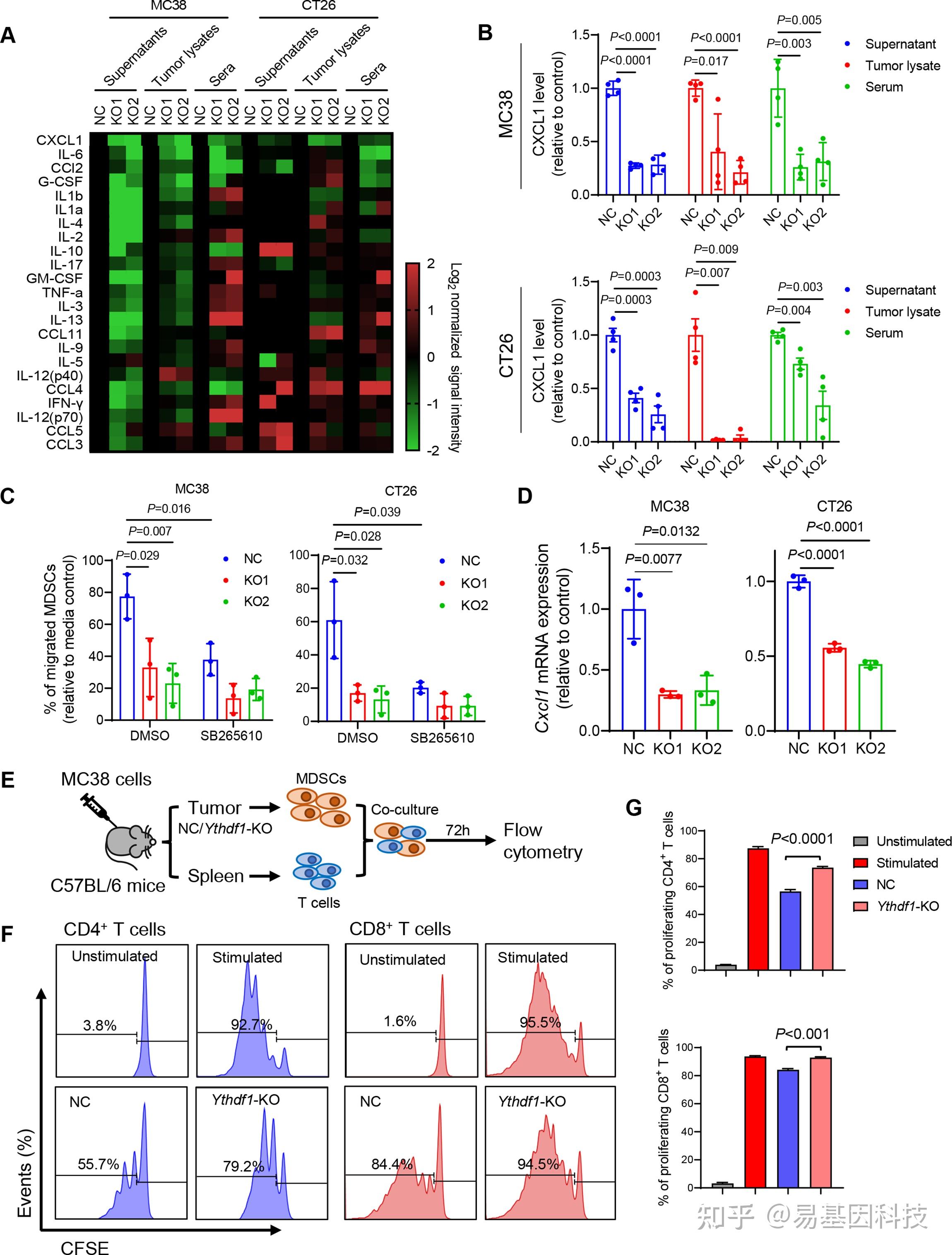 易基因：MeRIP-seq等揭示m6A reader YTHDF1在结直肠癌PD-1免疫治疗中的作用｜Gut - 深圳市易基因科技 - 博客园