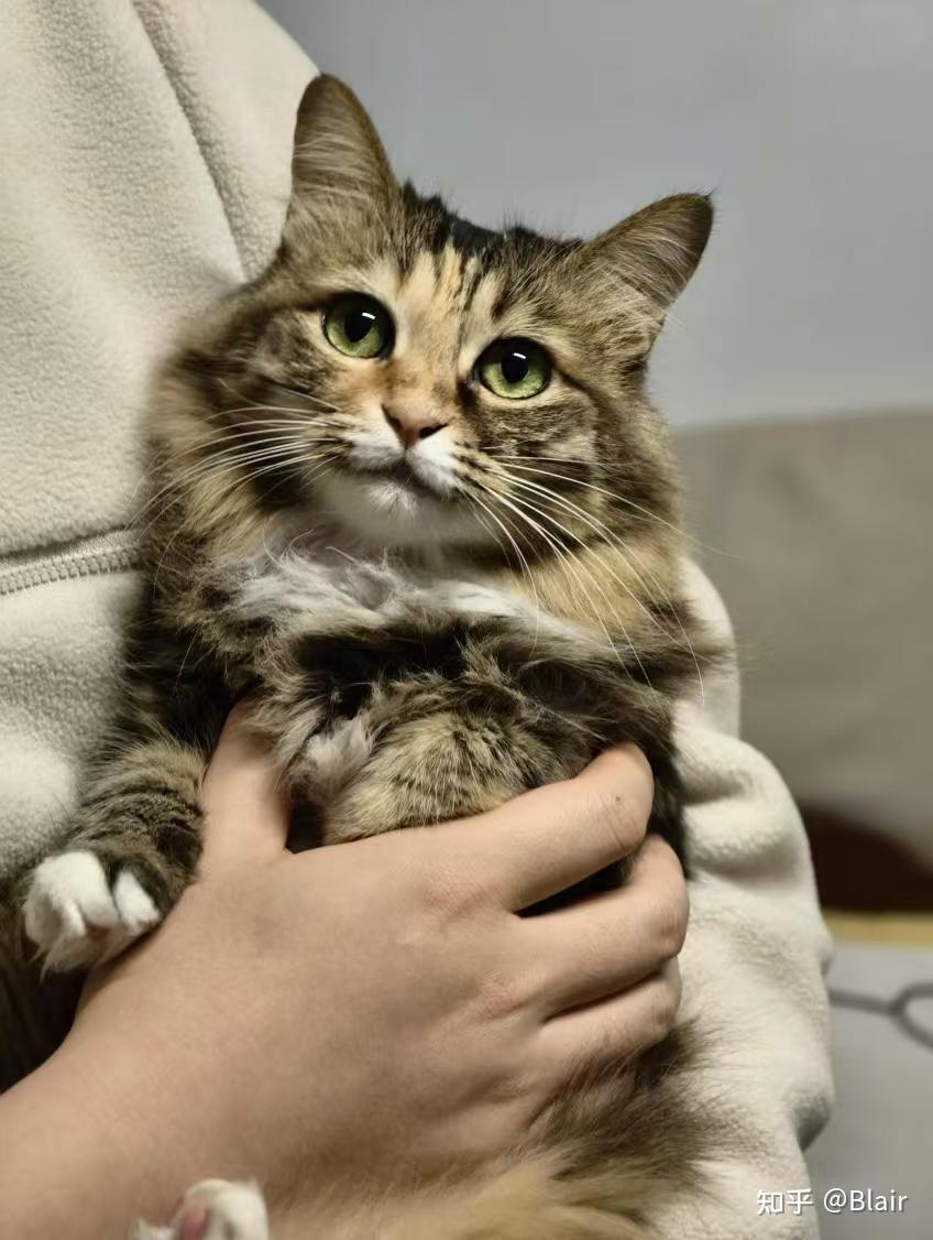 抱走这个粉嫩又好拍的松典迪士尼草莓熊DC306相机 - 知乎