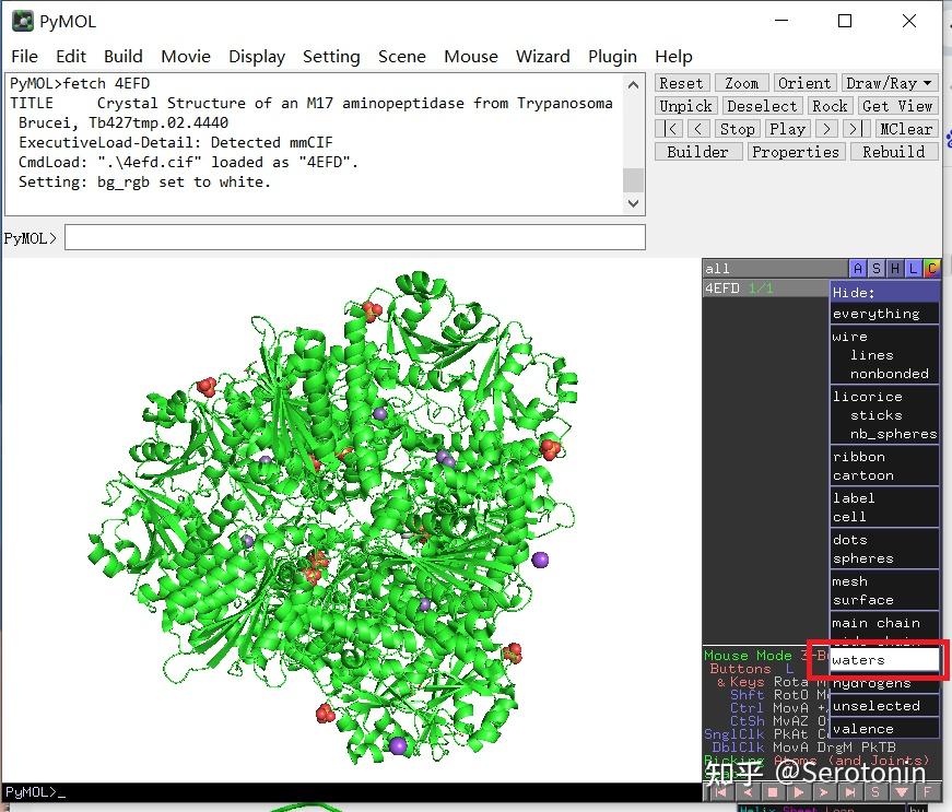 PyMOL小白自留教程3——蛋白质结构的可视化1 - 知乎