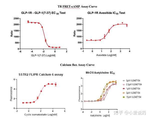 GPCR靶点药物筛选|药物靶点开发服务|gpcr靶点药物研发|药物靶点研发服务 - 知乎