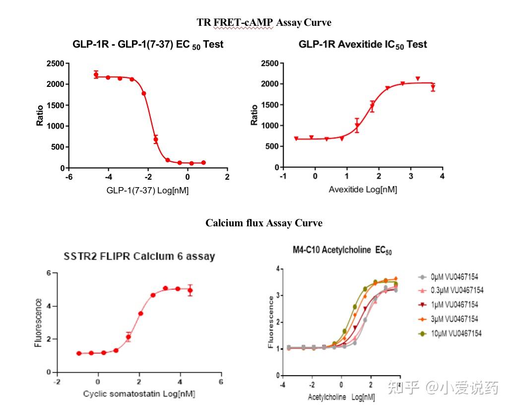 GPCR靶点药物筛选|药物靶点开发服务|gpcr靶点药物研发|药物靶点研发服务 - 知乎