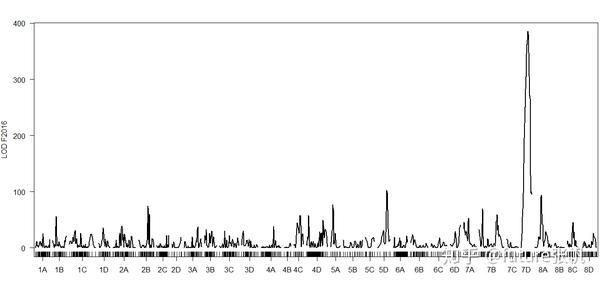利用R/qtl 进行QTL定位分析 - 知乎