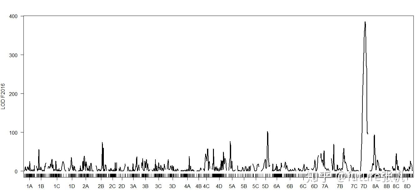 利用R/qtl 进行QTL定位分析 - 知乎