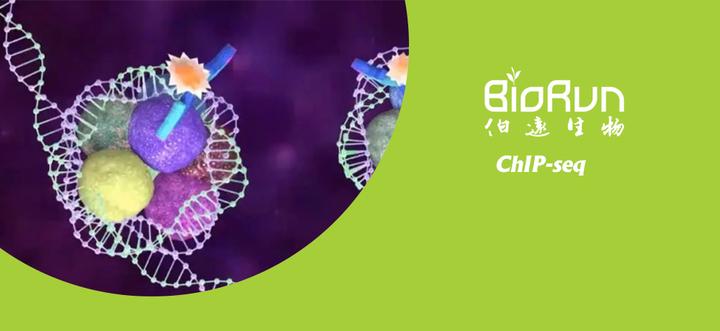 解析表观遗传学的工具——ChIP-seq（一） - 知乎