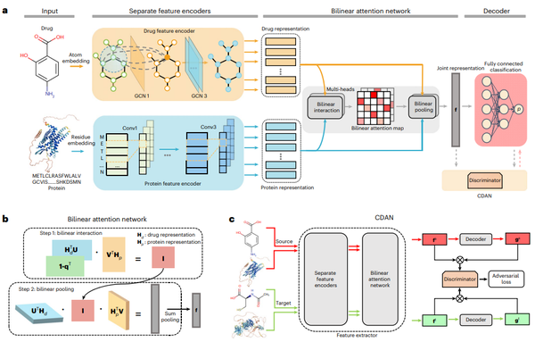 Nat.Mach.Intell.| 自适应和可解释的药靶预测模型 - 知乎