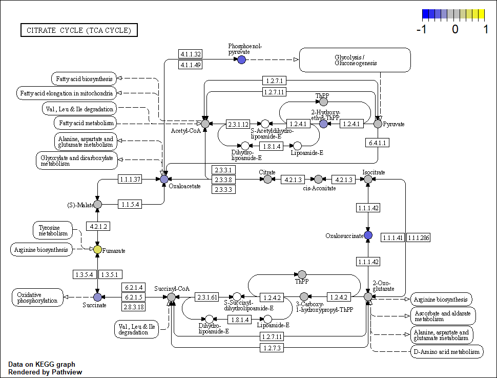 干货分享 | 实现通路与组学数据的结合，一个pathview就够啦！ - 知乎