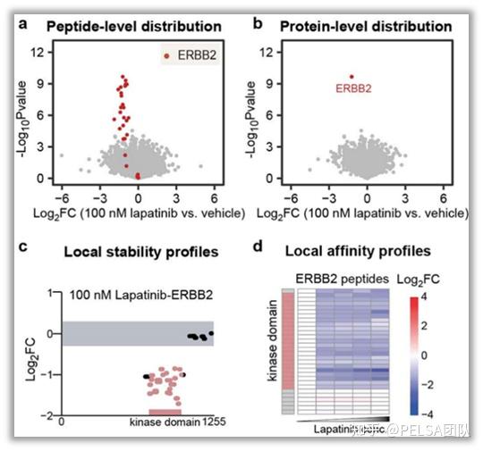 Nat Methods∣PELSA：基于结构微区稳定性变化，助力配体靶标蛋白的发现 - 知乎